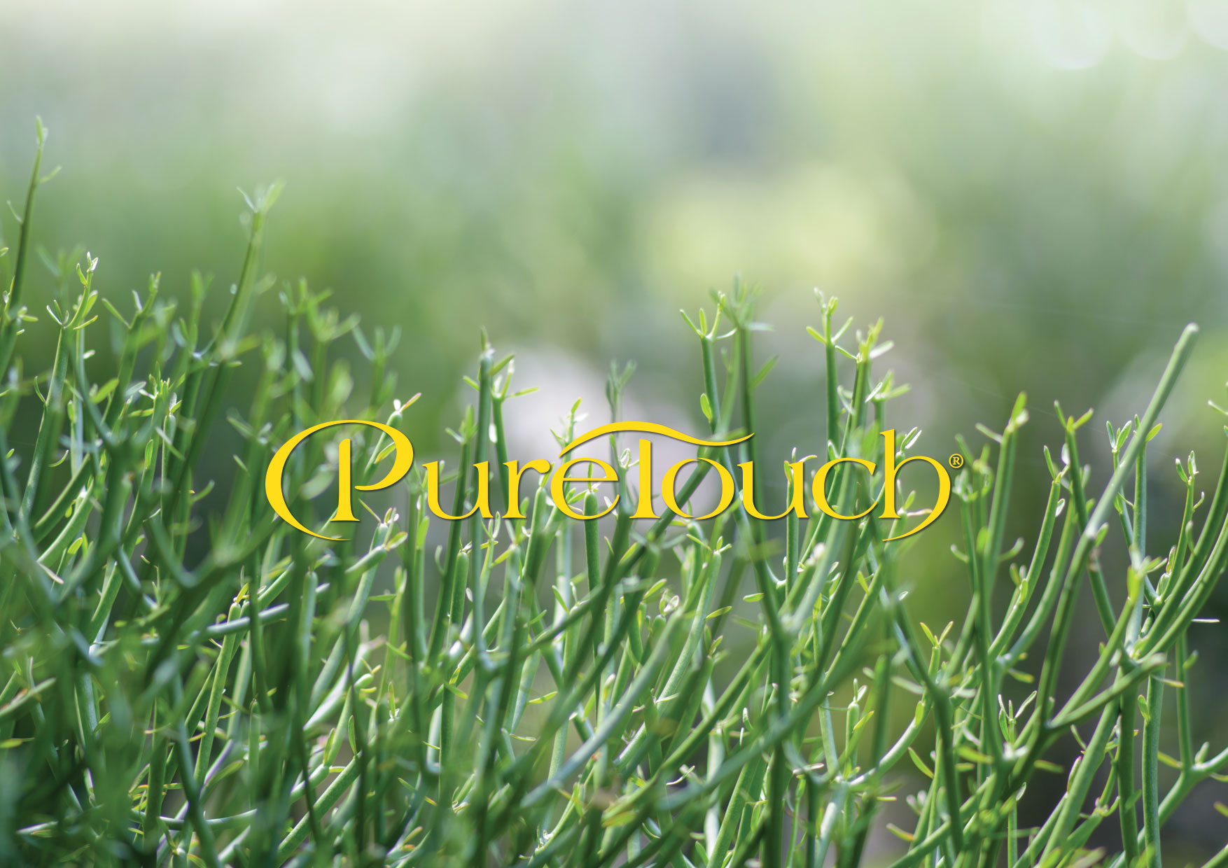 PureTouch™ | Therapedic®AU